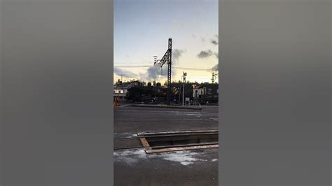 C11 Sl大樹 Youtube