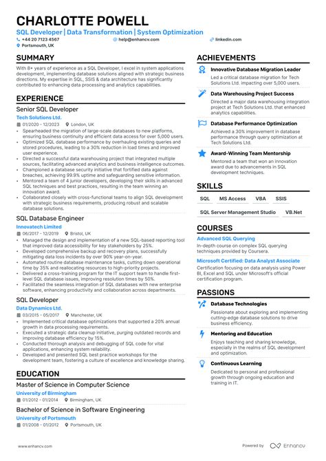 SQL Developer CV Examples Guide For 2024