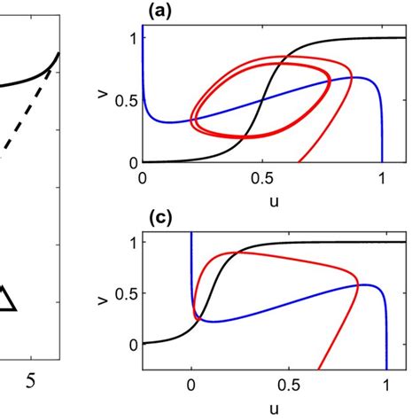 Bifurcation Sets And Numerical Simulations For A Single Wilson Cowan