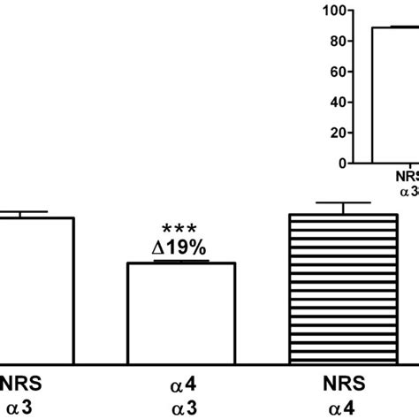 Nachr Subunits Subunit Associations And Deduced Receptor Subtypes In