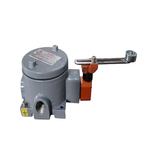 Limit Switch Long Lever Akshar Flameproof Industries Limit Switch Long Lever Akshar Flameproof Industries