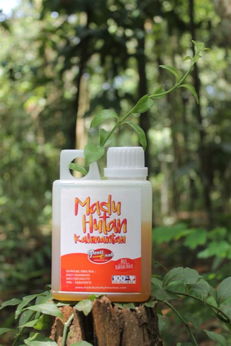 Madu Untuk Kesehatan Dan Kecantikan Madu Hutan Kalimantan