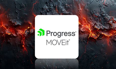 Cyber Catastrophe In Sight The New Bug On Moveit Has An Online Poc Exploit