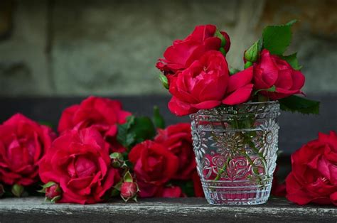 Mais De Imagens Gr Tis De Fotos De Rosas E Rosas Pixabay