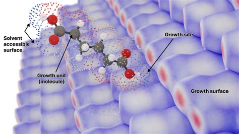 A Molecule Surrounded By Its Solvent Accessible Surface Moving Toward