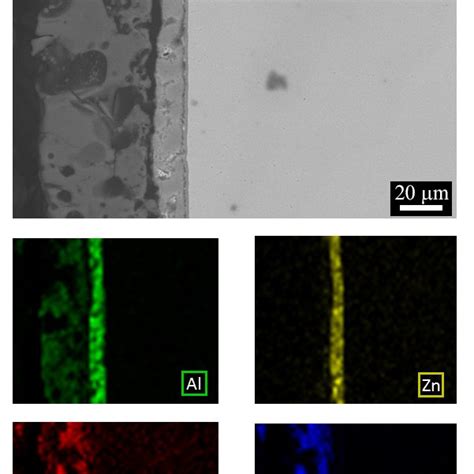 Sem Eds Elemental Mapping Performed On The Cross Section Of The Sample