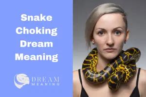Snake Choking Dream Meaning: What Is It Trying To Tell You? - The Dream Meaning