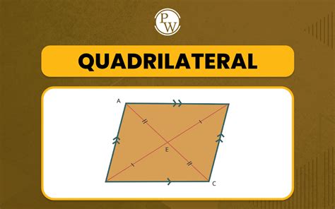 Quadrilateral Definition Types Properties Examples