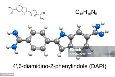 Chemical Formula Structural Formula And 3d Ballandstick Model Of Dapi