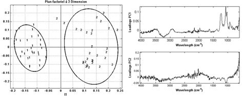Scores And Loadings Using Osc Pca Factor Concentration The Download Scientific Diagram