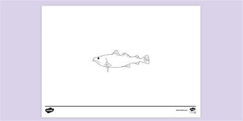Cod Fish Colouring Colouring Sheet Teacher Made Twinkl