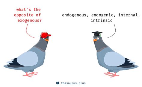 4 Exogenous Antonyms Full List Of Opposite Words Of Exogenous