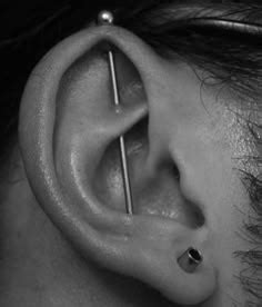 Jacobs Ladder Piercing Men
