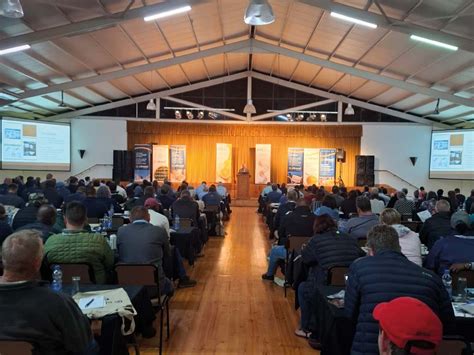 Identification Of False Codling Moth And Carob Moth Larvae Sa Fruit Journal