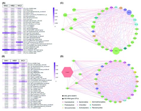 Correlation Of Key 16s Rrna Gene Otus And Cbbl Gene Clusters Ab