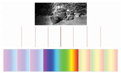 Relative Movement Between The Camera And Object Enables 3d Download Scientific Diagram