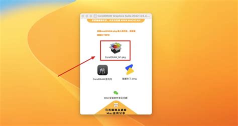 👍 Coreldraw Graphics Suite 2025 V26 0 0 101中文激活版 Cdr平面设计工具 马克喵