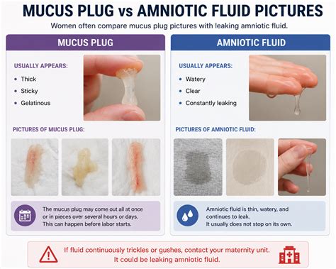 Mucus Plug Vs Discharge Pictures What They Look Like And How To Tell