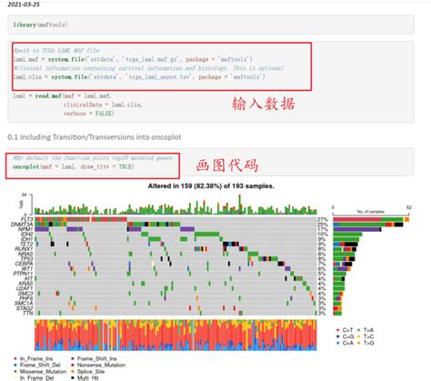 R语言maftools包画oncoplot 瀑布图 的一个简单小例子 Oschina 中文开源技术交流社区