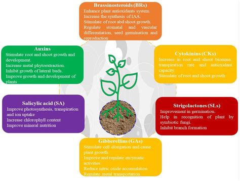 Frontiers Potential Role Of Plant Growth Regulators In Administering
