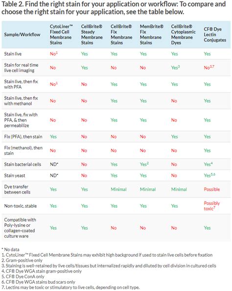 Biotium Guide For Selecting The Right Cell Surface Stain Genetarget