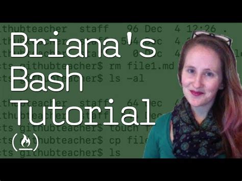 Bash Tutorial How To Use The Command Line In Linux Windows And Mac Terminal