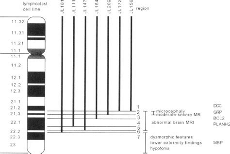 Figure 4 from Molecular analysis of the 18q- syndrome--and correlation ...