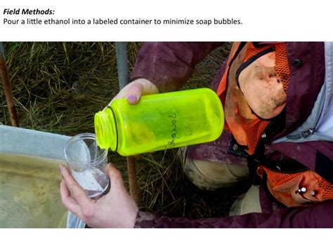 Terrestrial Invertebrates Tidal Marsh Monitoring