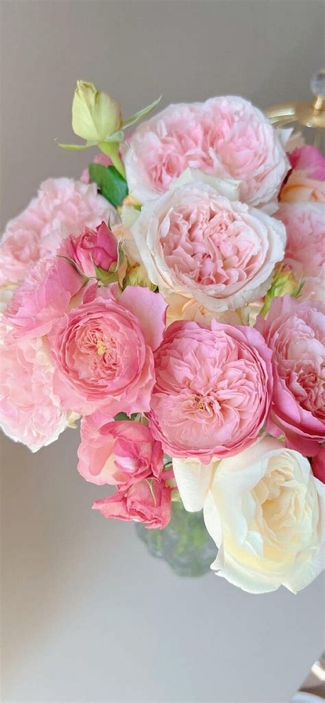 Tổng hợp Hình nền hoa đẹp nhất thế giới full HD