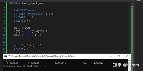 Fortran 当nan或者infinity出现时的处理方法 知乎