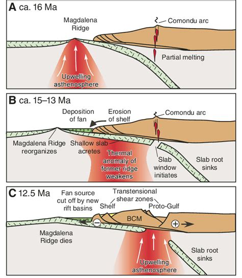 Schematic Cross Sections Of The Paleotrench Showing Tectonic Evolution Download Scientific