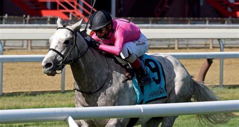 Jack And Noah Gives Trainer Mark Casse First Win Of Saratoga Meet In Mahony Saratoga