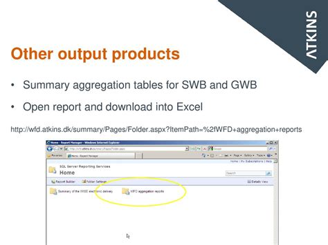 Summary Of Wise Electronic Delivery Ppt Download