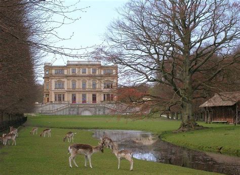 Elswout Alchetron The Free Social Encyclopedia