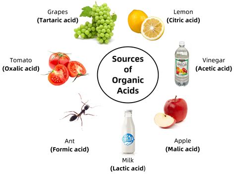 Organic Acids Analysis Service Mtoz Biolabs