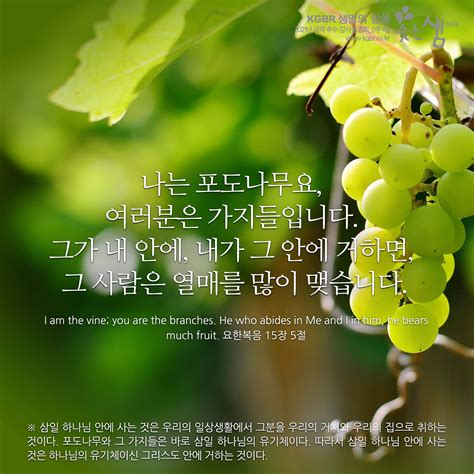 요한복음 15장 5절