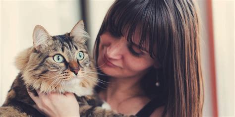 How To Get A Cat To Like You In 5 Steps Yourtango