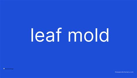Leaf Mold The Open Dictionary