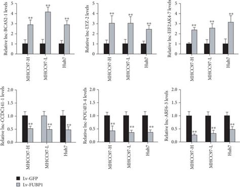 validation of microarray result by quantitative rt pcr six