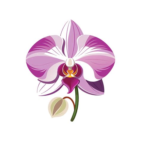 Elegant Orchid Design For Unique Floral Art 57395988 Vector Art At Vecteezy
