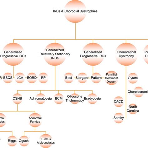 Classification Of Inherited Retinal Diseases And Choroidal Dystrophies