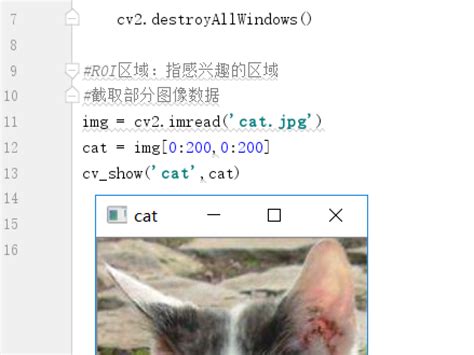python opencv视频的读取与处理；截取部分图像数据； 边界填充 云禅网络 机器视觉资讯