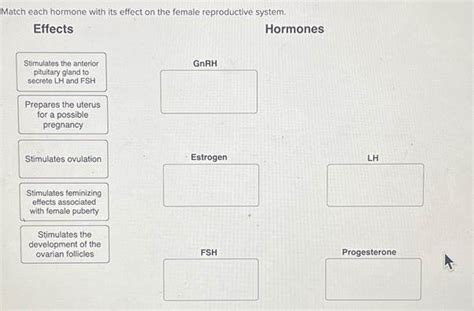Solved Match Each Hormone With Its Effect On The Female Reproductive Answer Transtutors