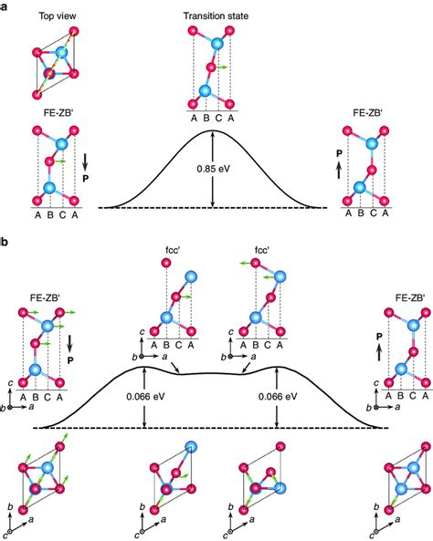 Kinetics Pathways Of Polarization Reversal Processes A Evolution