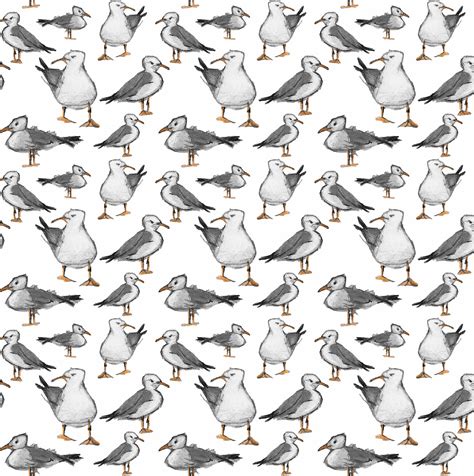 Seagull Pattern On Behance
