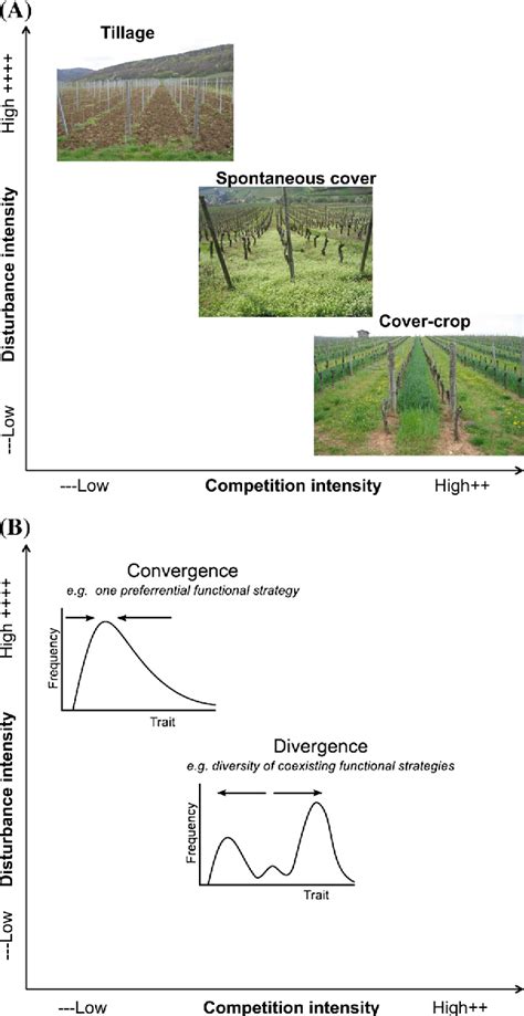 Figure 2 From A Plant Trait Based Response And Effect Framework To Assess Vineyard Inter Row