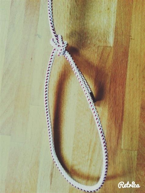 Gassa Damante Citazioni Uniche Nodi