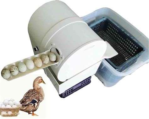 120w Egg Washer Machine Automatic Egg Cleaning Machine