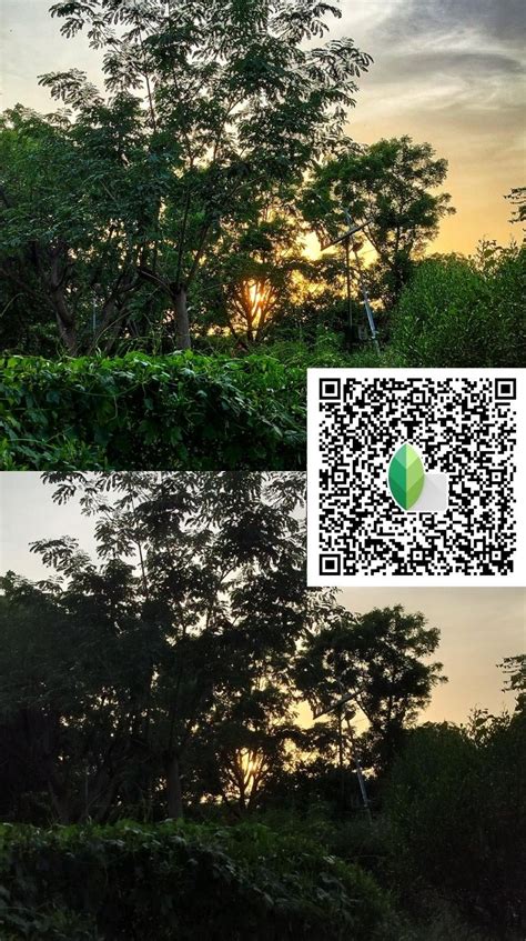 Snapseed Qr Codes Free Photo Filters Nature Photography Quotes Snapseed