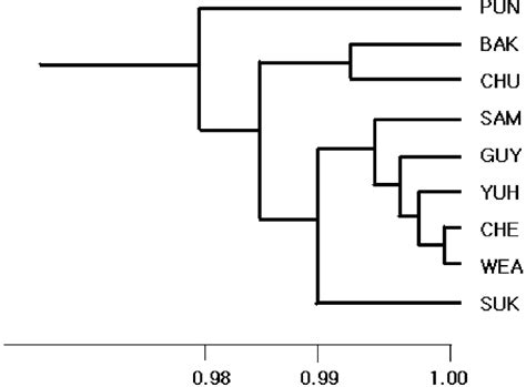 Upgma Phenogram Based On The Neis 1972 Genetic Identity For Nine